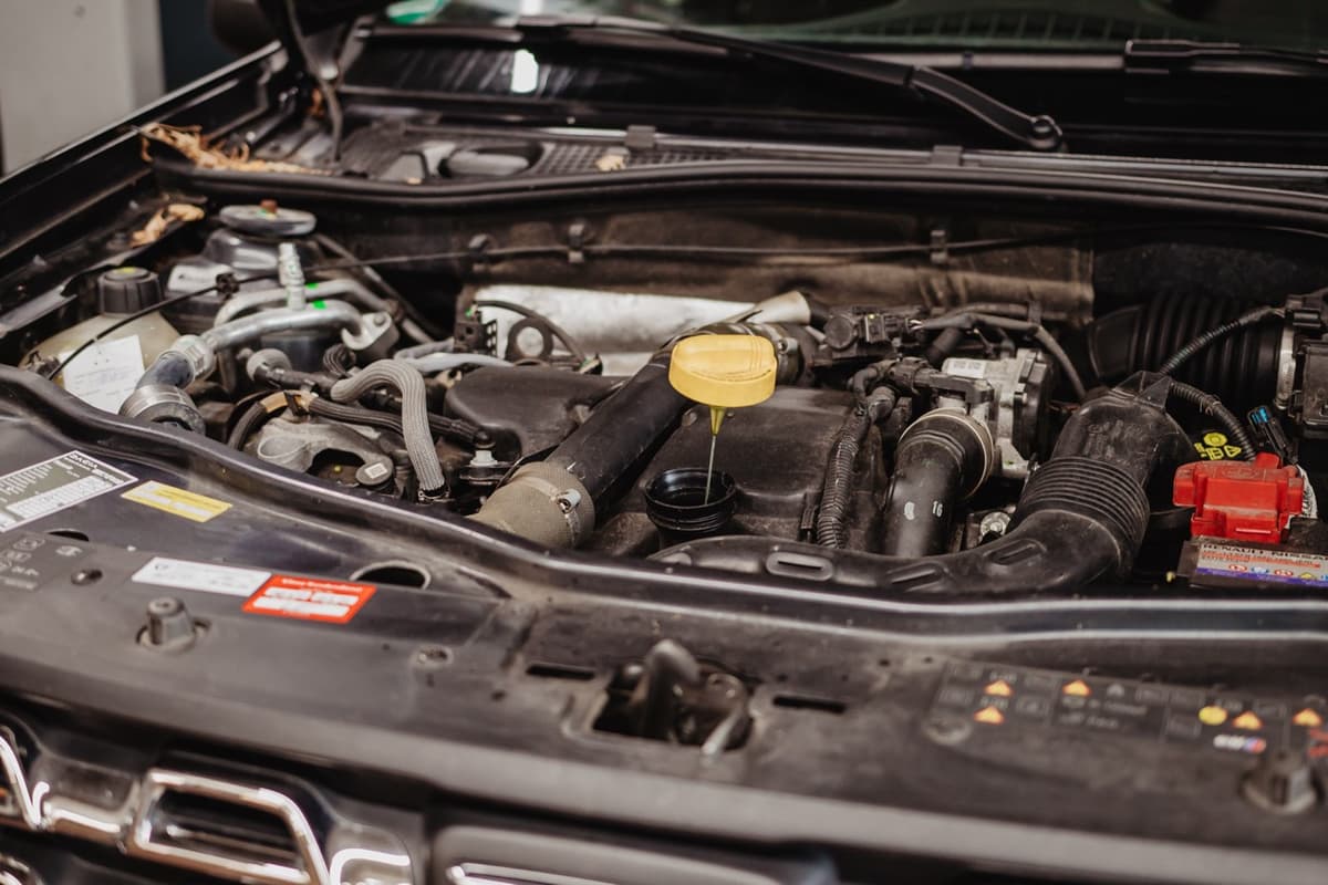 Dein Renault, Dacia & GWM Ora Partner in Bremervörde — Autohaus Brunkhorst